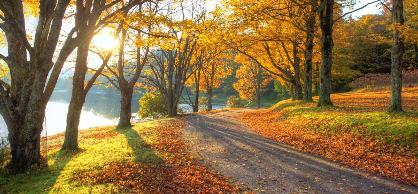 4 Ways to Celebrate Fall in New Jersey - Best of NJ