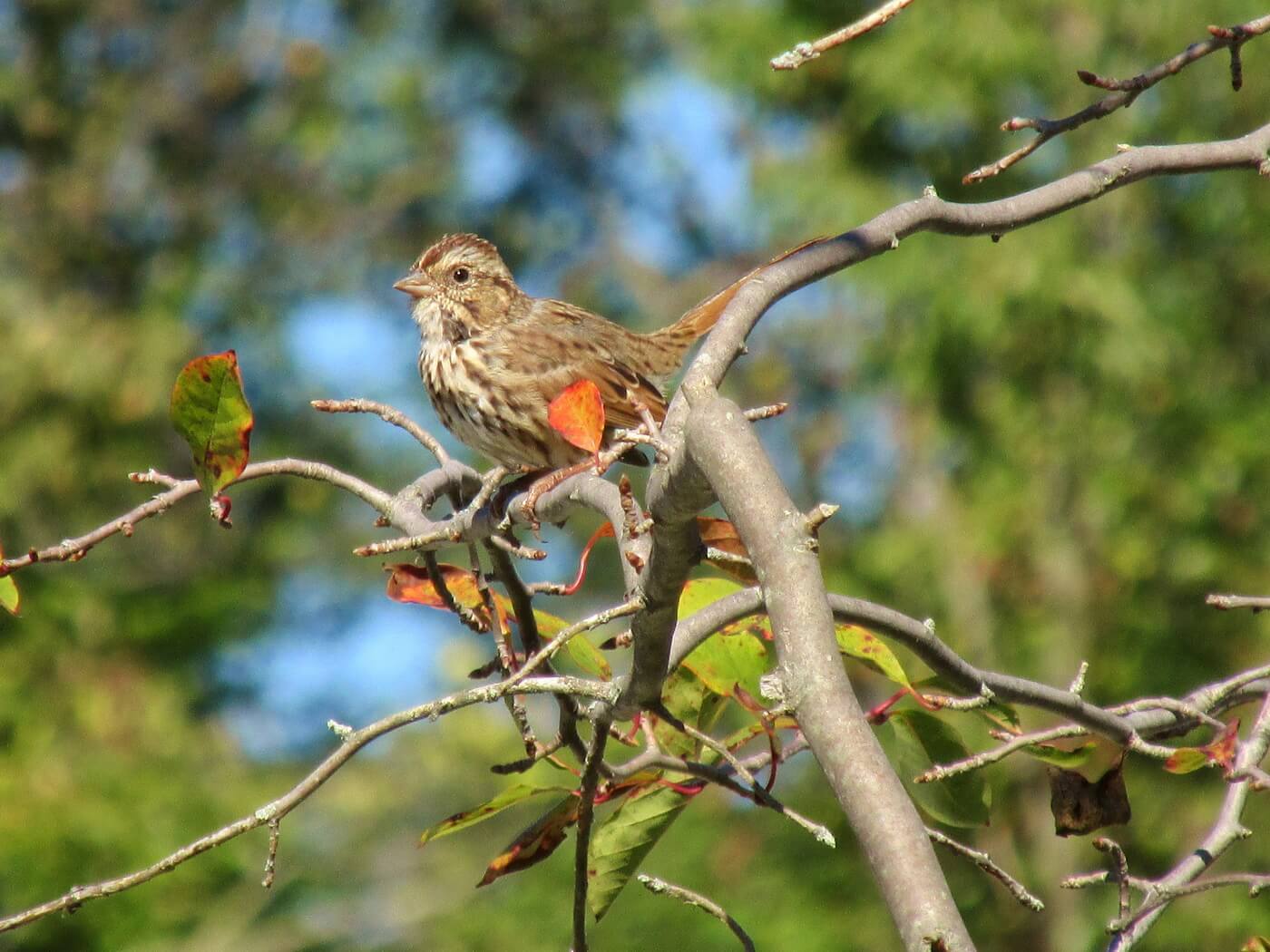 The New Duke Farms: A Photo Documentary - Best of NJ