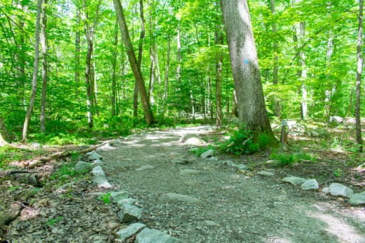 The Best NJ Hiking Trails: Pyramid Mountain Tripod Rock Trail ...