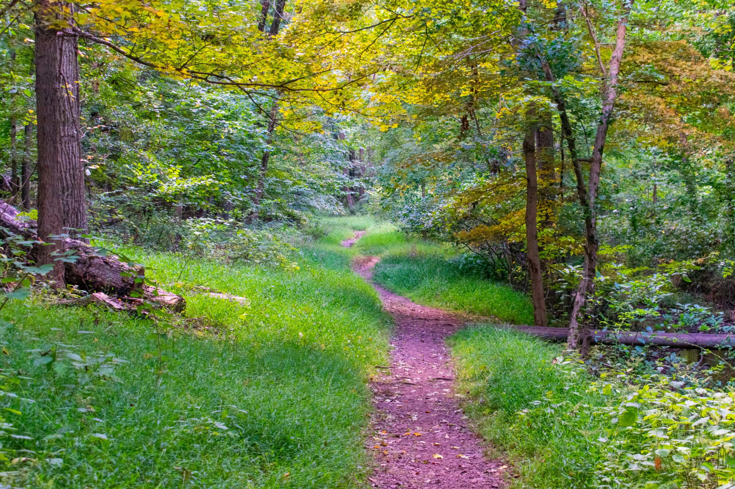 The Best New Jersey Hiking Trails: Baldwin Lake - Best of NJ