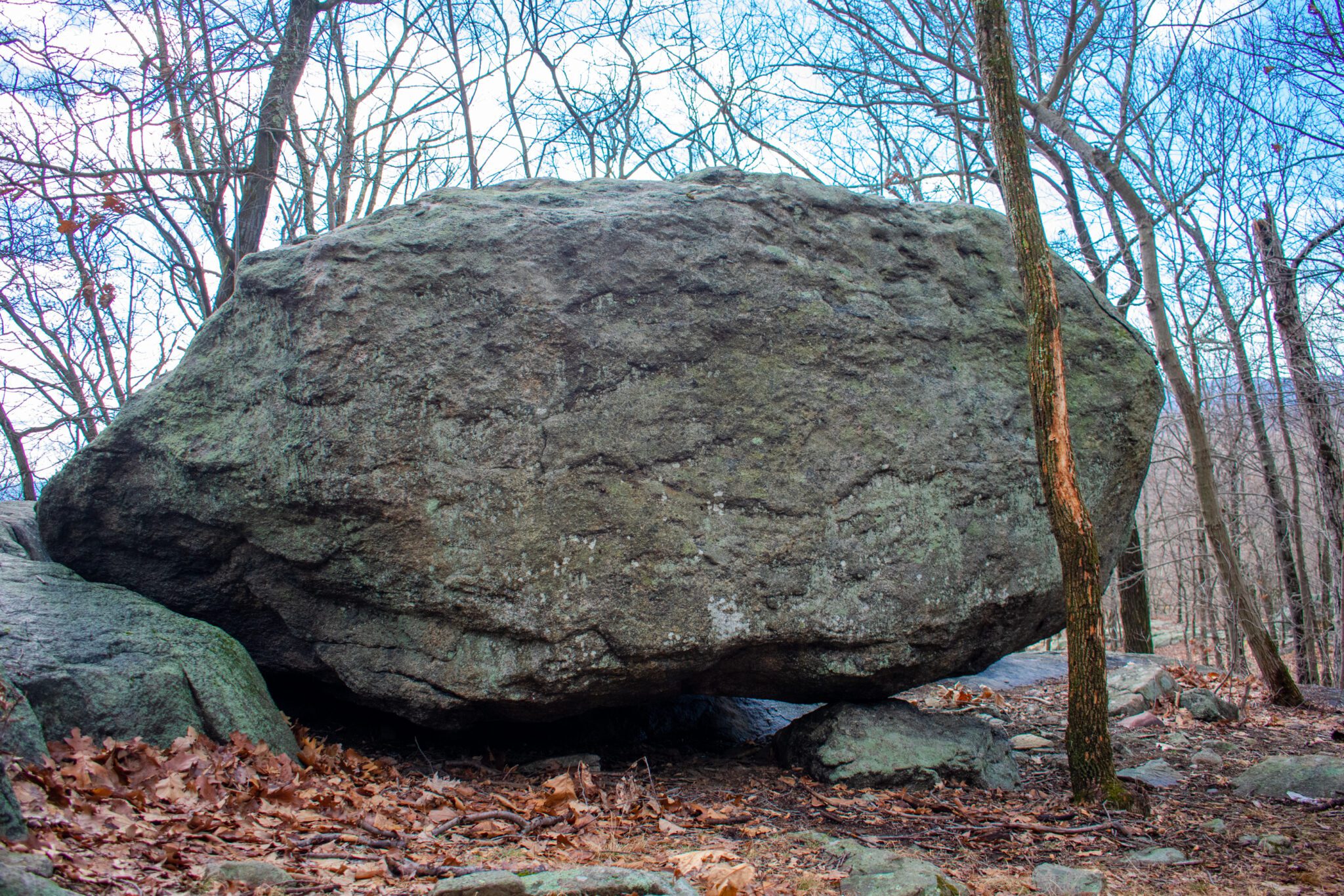 The Best NJ Hiking Trails: Tourne County Park - Best of NJ