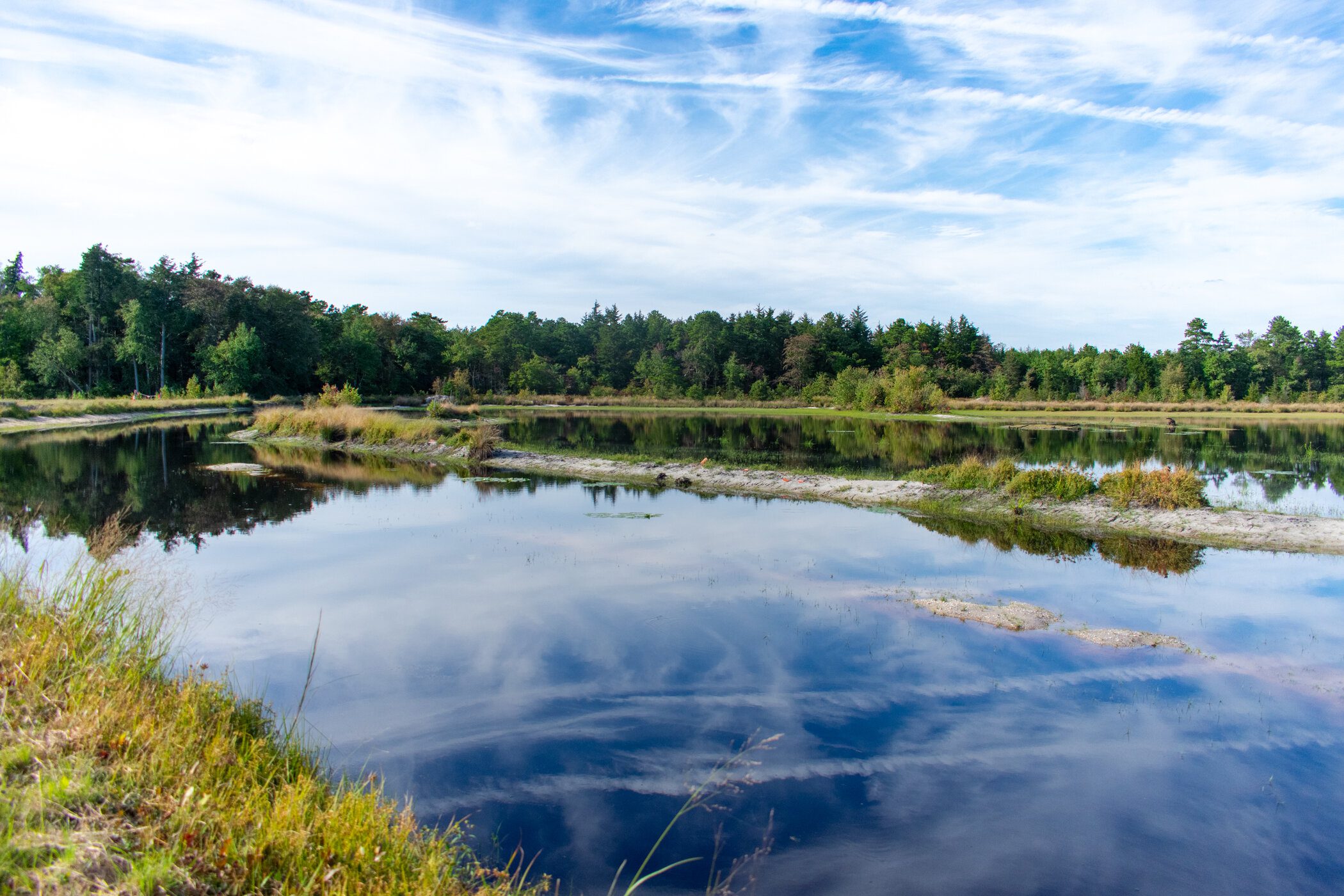 The Best NJ Hiking Trails: Cranberry Bogs (Whitesbog) - BestofNJ.com
