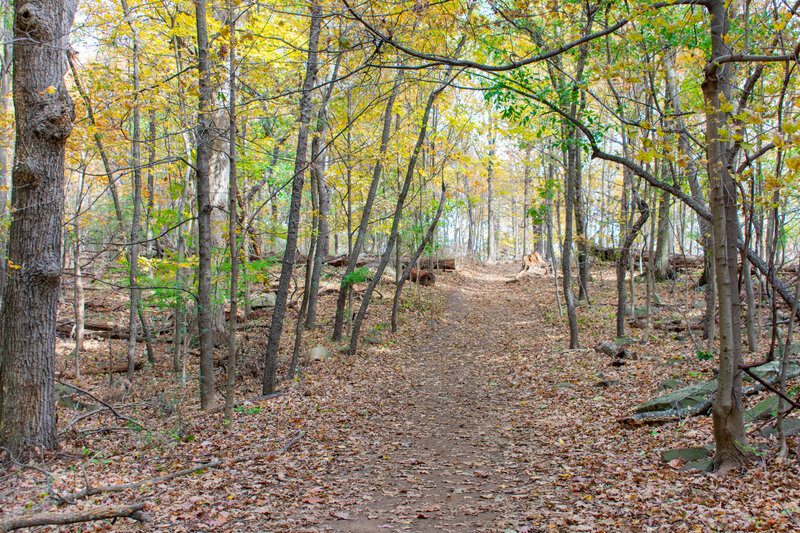 The Best NJ Hiking Trails: State Line Lookout - BestofNJ.com