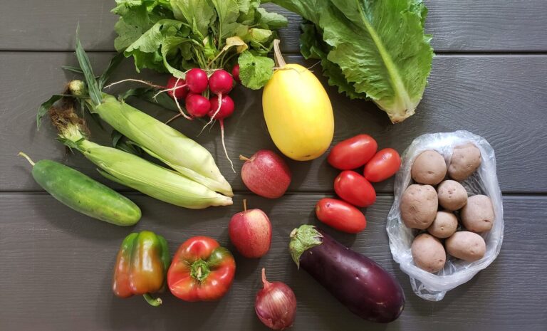 The Best CSA & Farm Delivery Services in New Jersey: 2023 - BestofNJ.com
